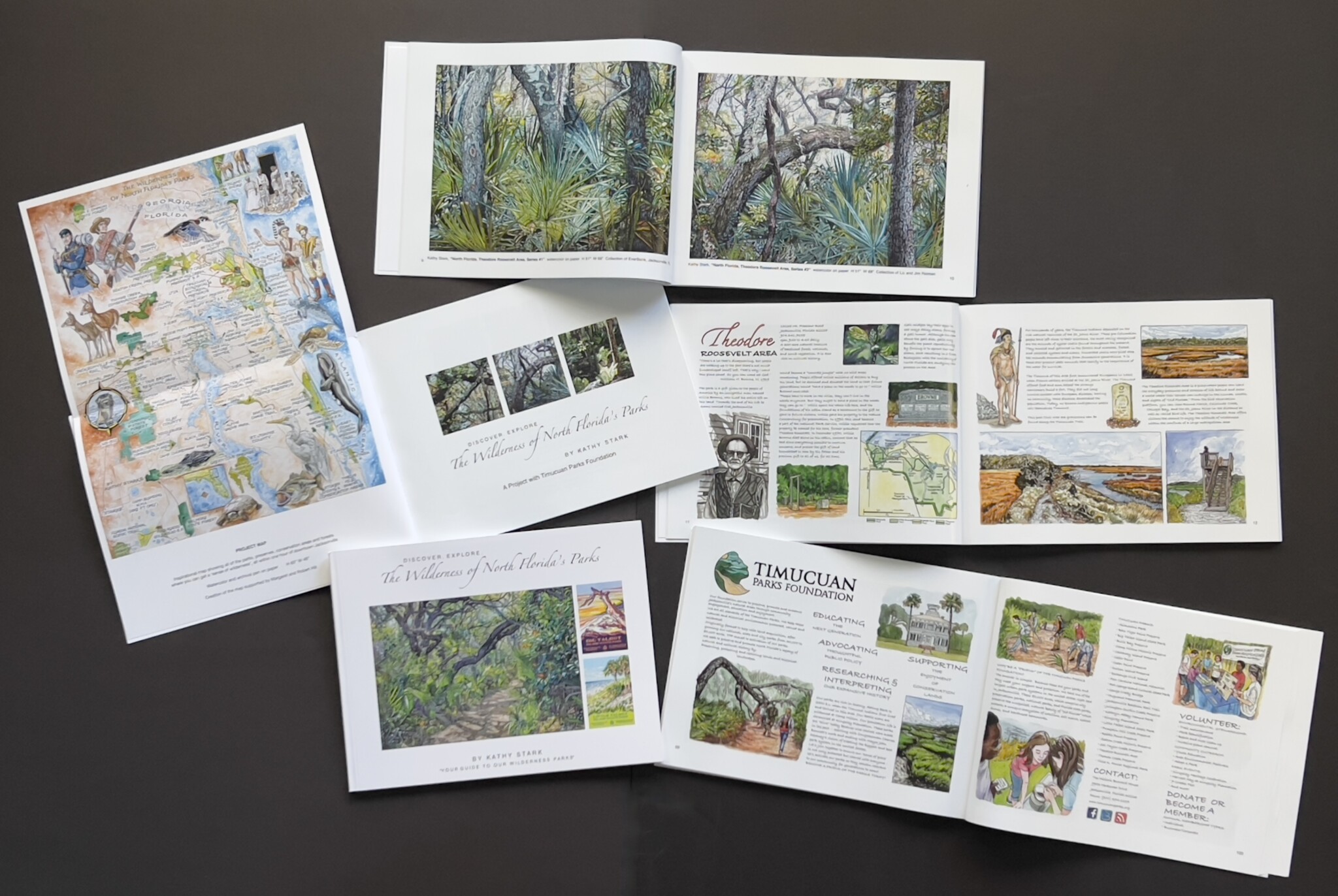 Timucuan Parks Foundation Partners with Artist Kathy Stark on New ...