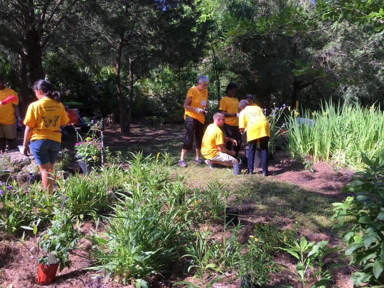 Timucuan Parks Foundation and JaxParks Invite the Community to Outdoor ...