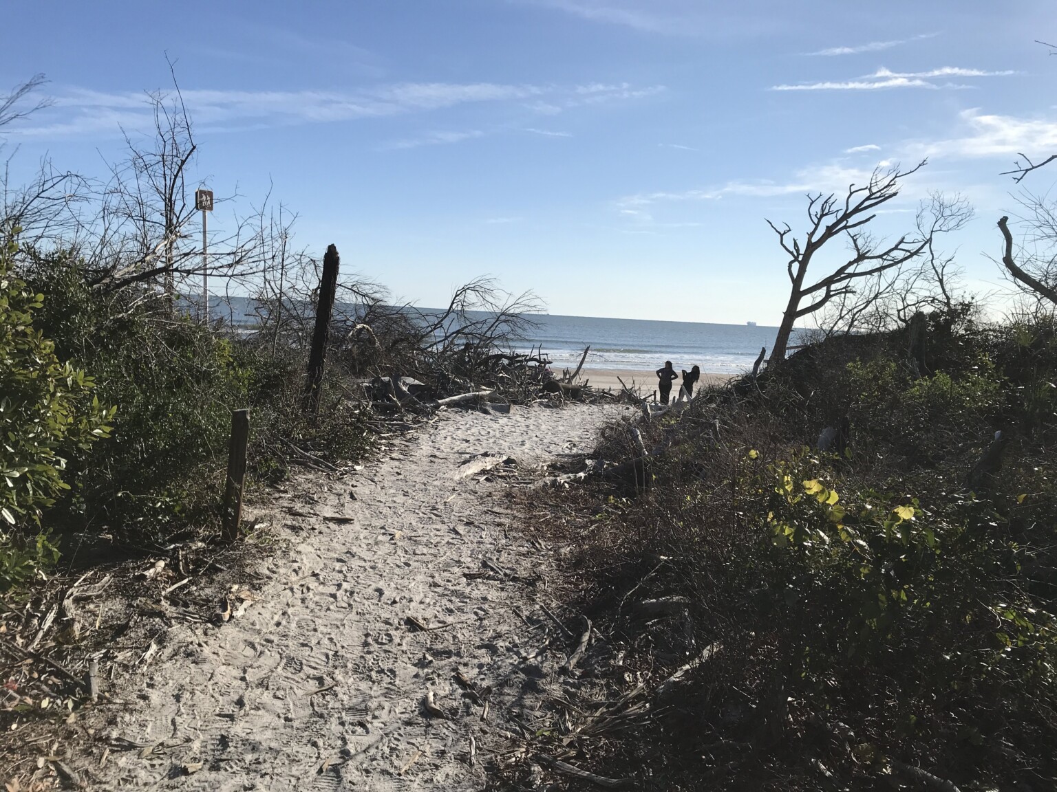 Join Timucuan Parks Foundation and Florida State Parks for a First Day ...