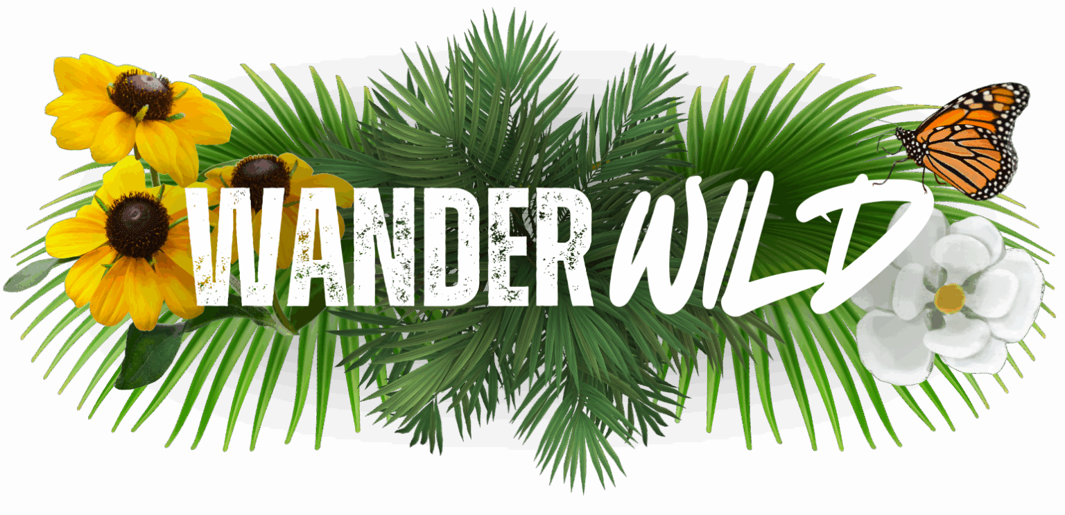 Wander Wild - Timucuan Parks Foundation